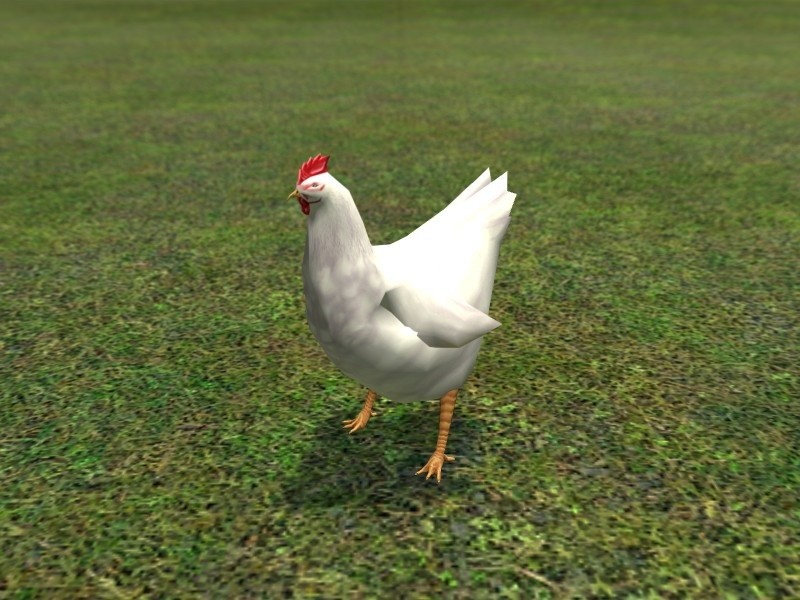 Angry Chicken – Все для Гаррис Мод